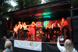 Willenhall Lock Stock Music Festival – Friends Of Willenhall Memorial Park